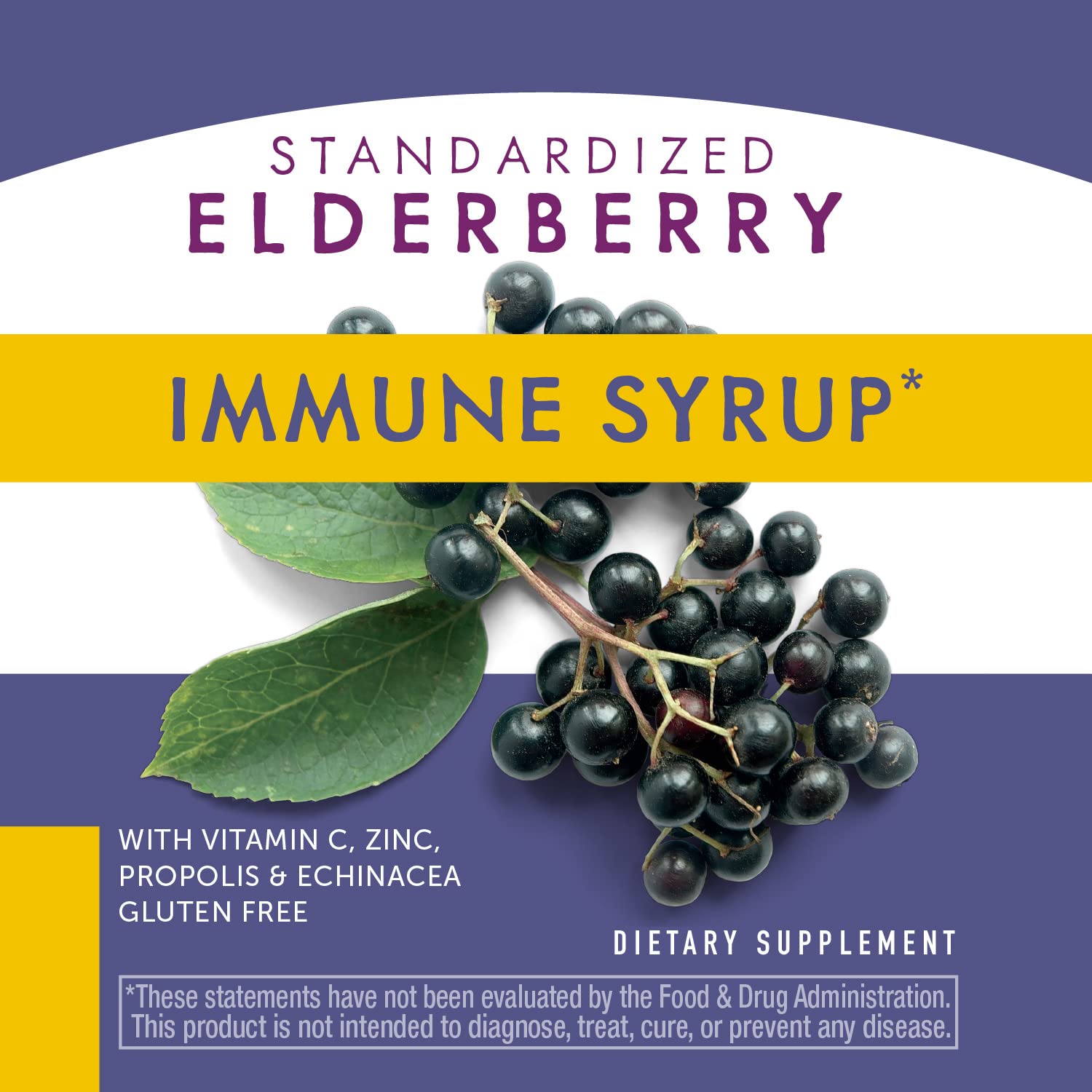 Zinc fortified elderberry syrup for health