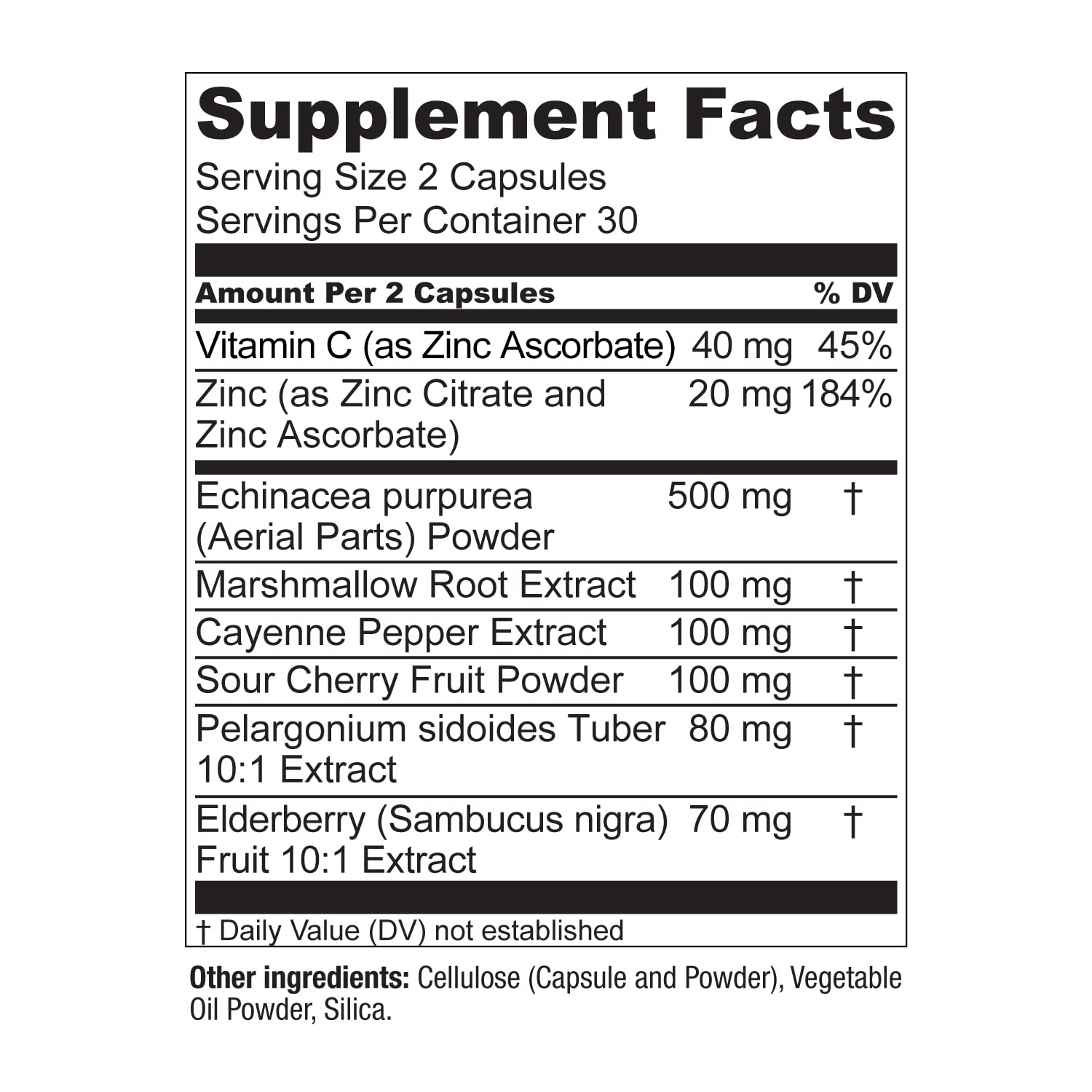 Zinc-infused Echinacea for better health