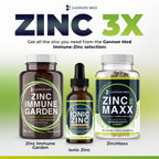 Zinc lozenges for daily wellness