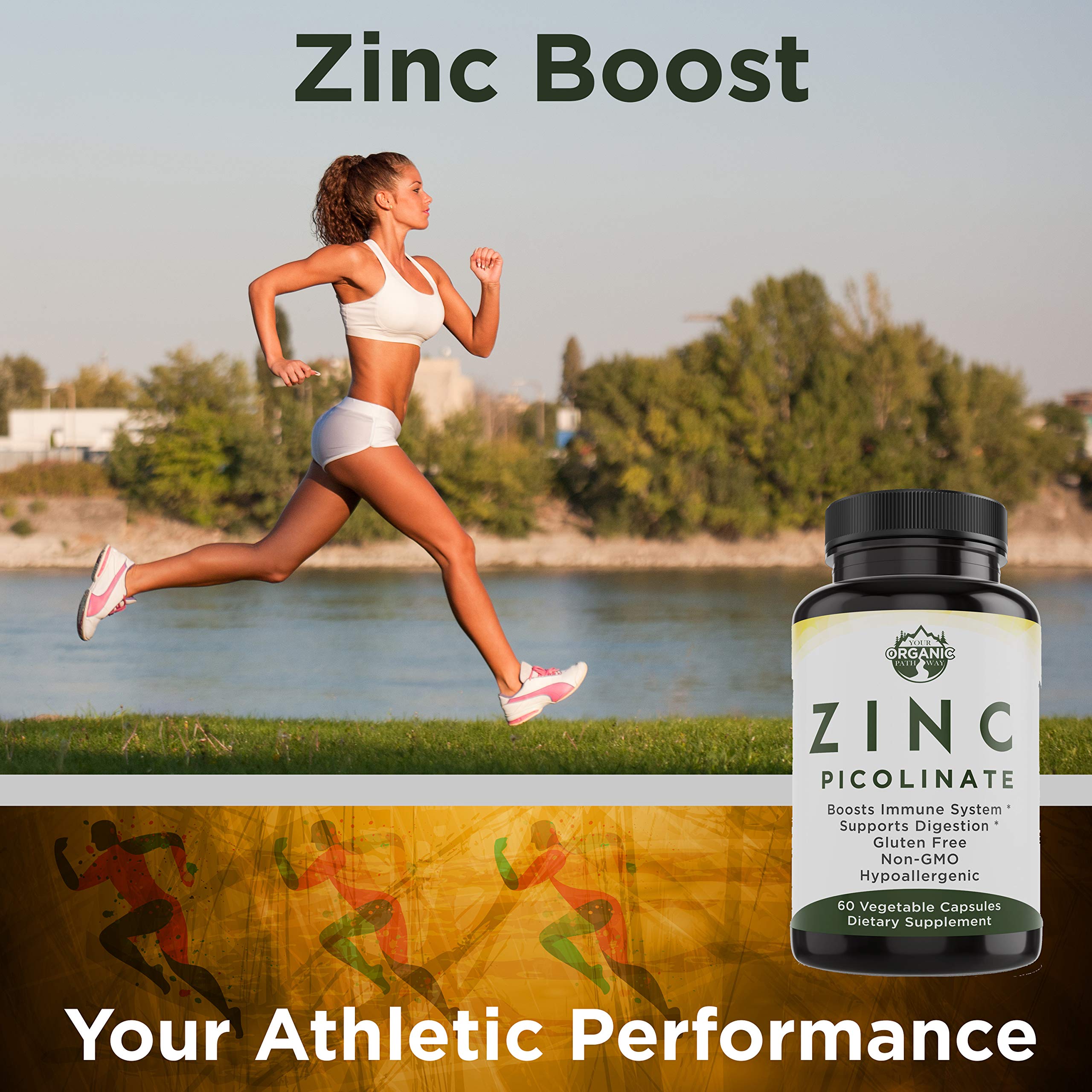 zinc picolinate for men and women