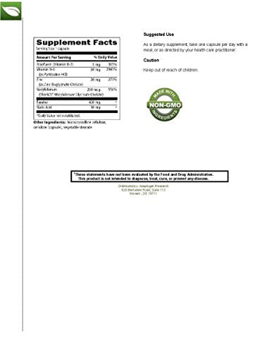 Zinc plus for vegetarian diets