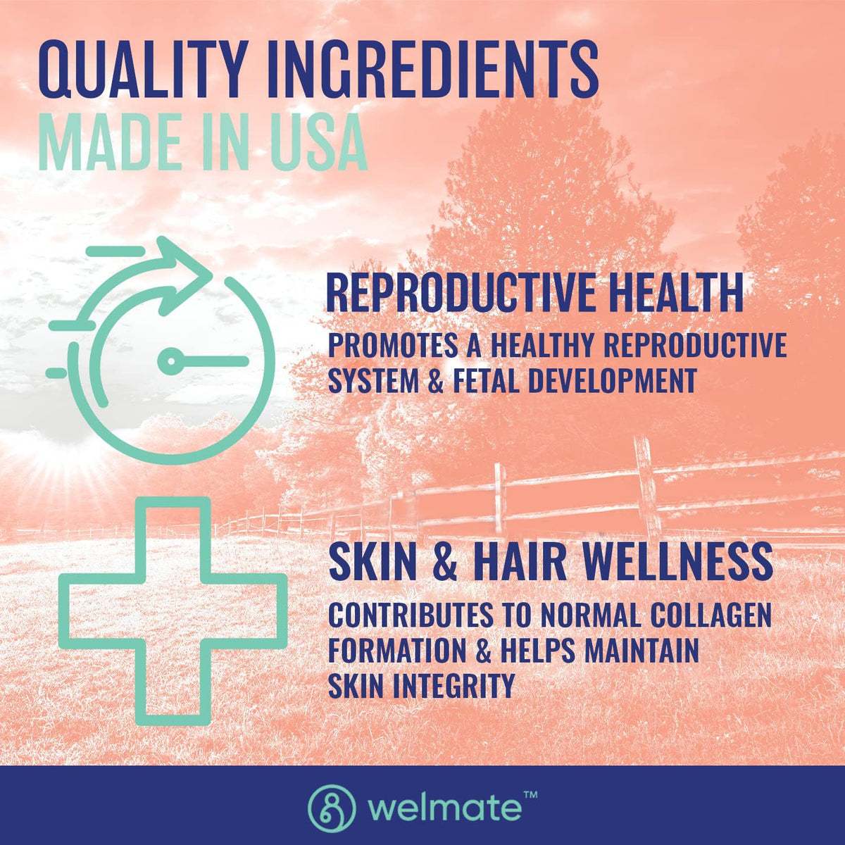Zinc sulfate supplement for wellness