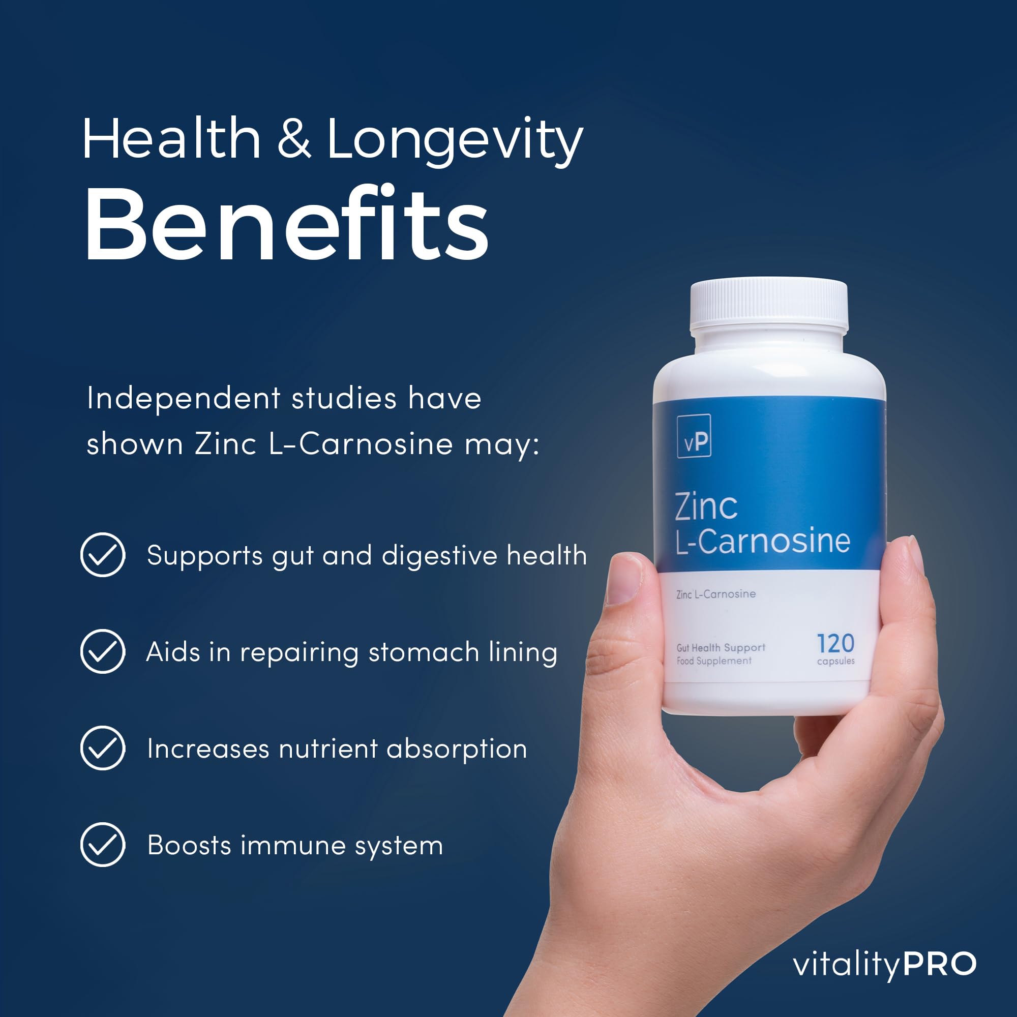 zinc supplement for daily nutrition