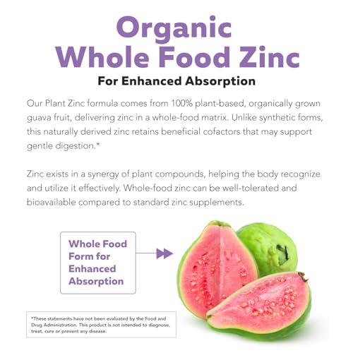 zinc supplement for daily wellness