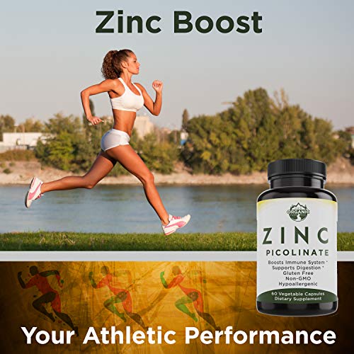 zinc supplement for energy levels