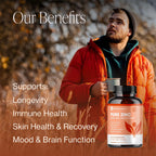 zinc supplement for immune support