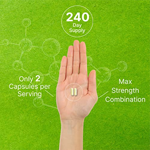 zinc supplement for overall vitality
