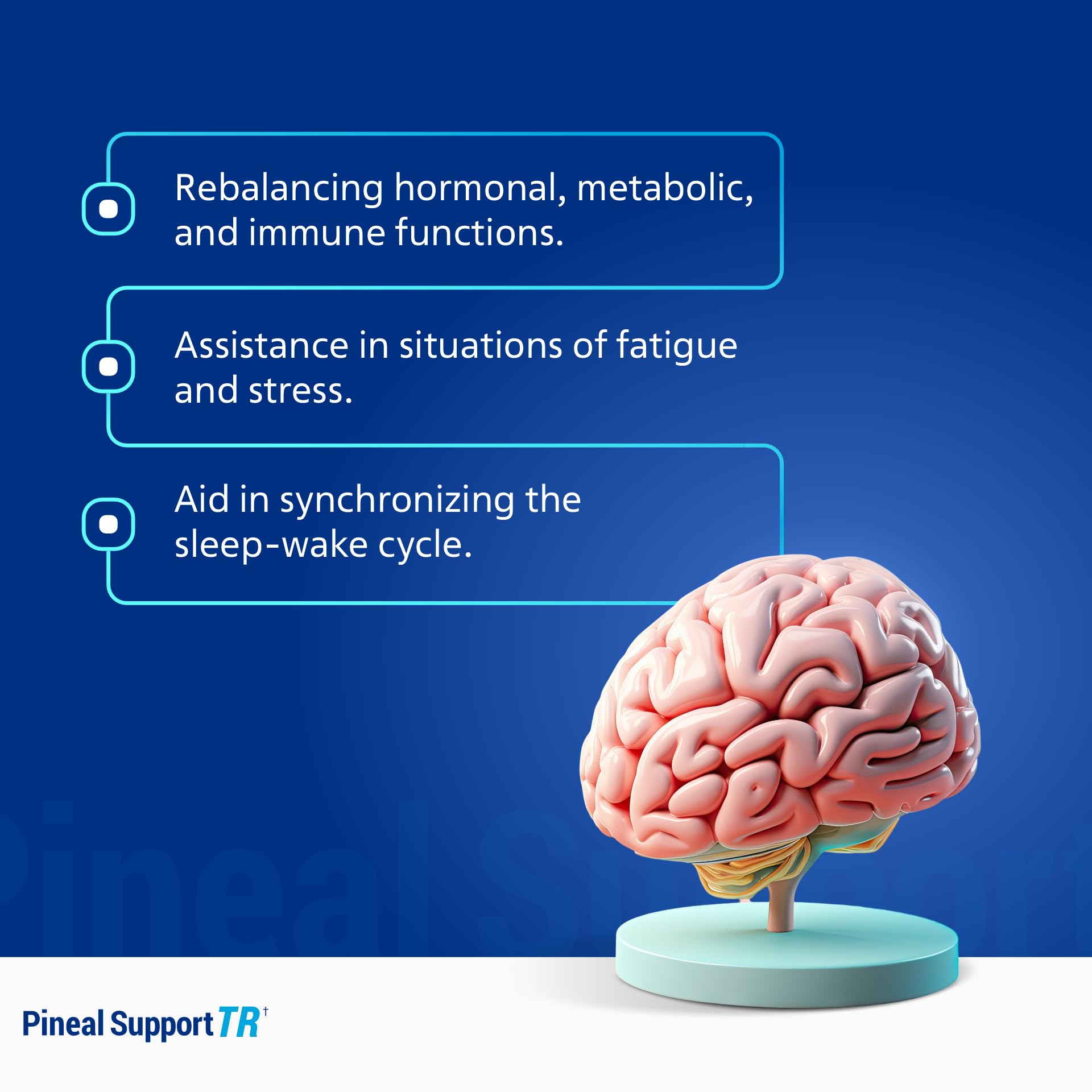 zinc supplement for overall wellness