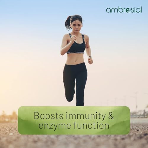 zinc supplements for better health