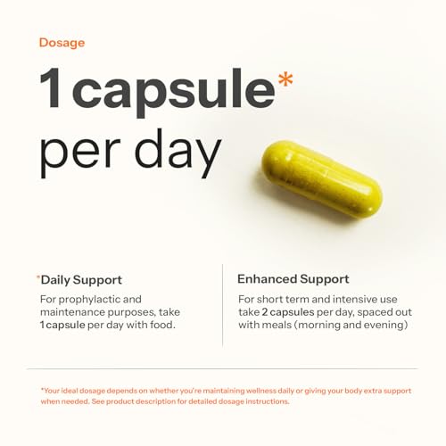 zinc vitamin for overall wellness
