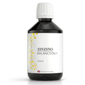 Zinzino BalanceOil+ fish oil benefits