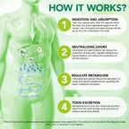 ZODENIS herbal body freshness formula