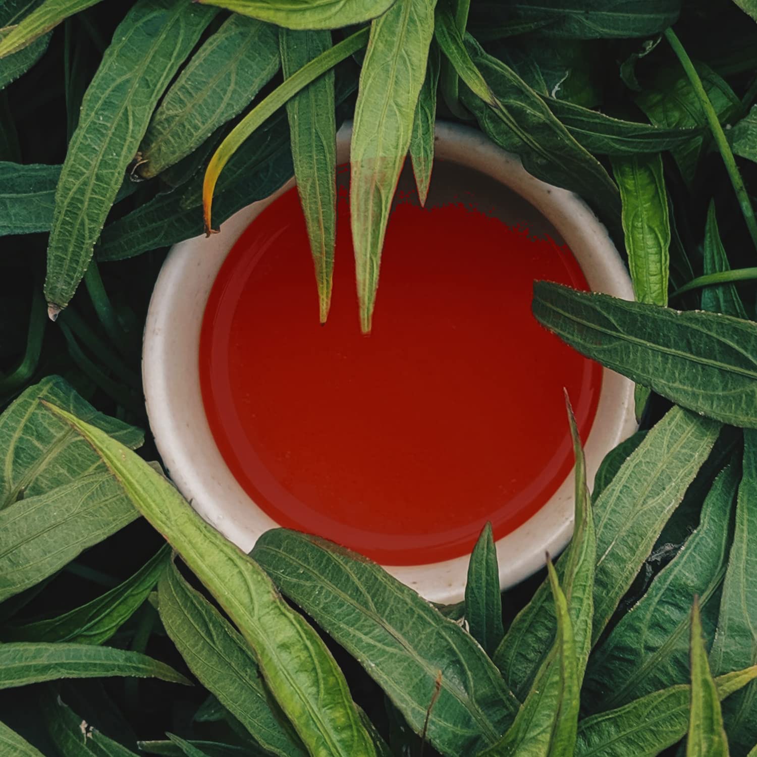Zokiva herbal tea for hydration