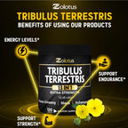 Zolotus herbal capsules for fitness support
