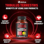 Zolotus male vitality enhancer