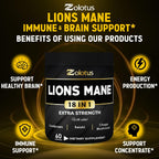 Zolotus mushroom capsules for energy