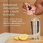 Zuma Nutrition herbal cleanse blend